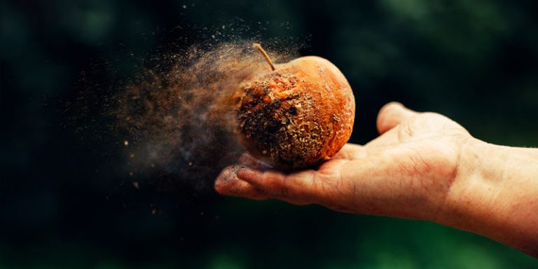 Anchor Rising – A Rhode Island truth-for-change platform.